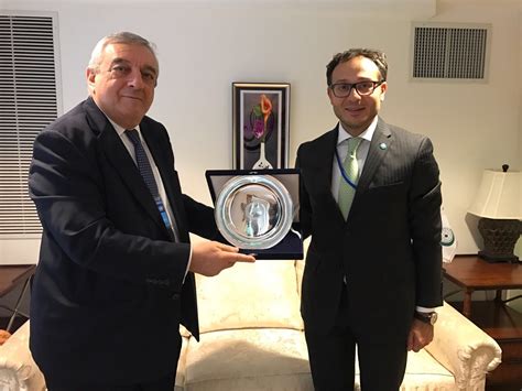 Secretary General Of The Turkic Council Ambassador Ramil Hasanov Met Ambassador Agshin Mehdiyev