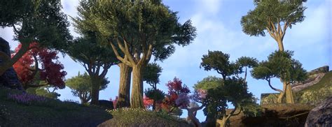 In Which Gyllerah Goes To The Daggerfall Covenant Anna Plays Skyrim