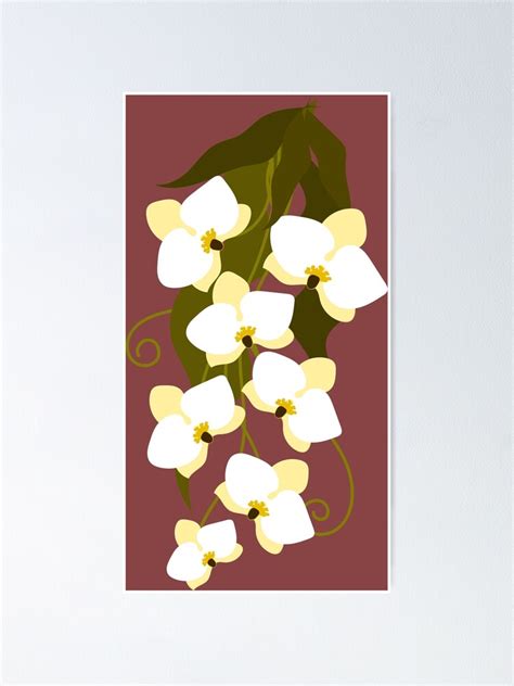 Orchids Poster For Sale By Erosha Redbubble