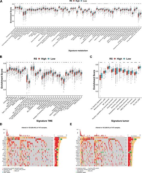 Frontiers Integrating Multiple Machine Learning Algorithms For Prognostic Prediction Of