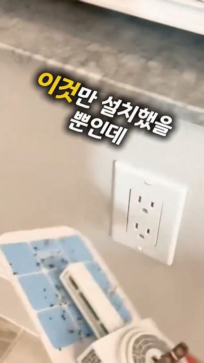 초파리 퇴치기 인테리어 꿀템 공간활용 추천템 초파리 초파리퇴치기 트랩 Youtube