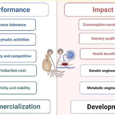 Pdf Soybean Fermentation Microbial Ecology And Starter Culture