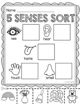 5 Senses Worksheet Cut And Paste