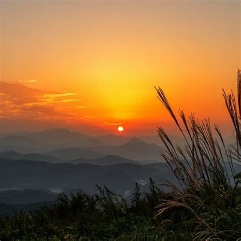 권지영의 브런치스토리