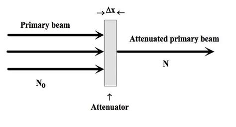 What Is The Primary Beam Home Design Ideas