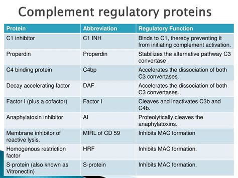 Ppt Complement Powerpoint Presentation Free Download Id 1976702