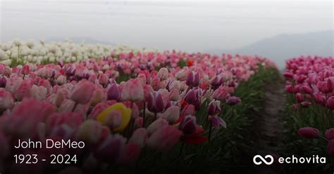 John Demeo Obituary 1923 2024 Mount Laurel Nj