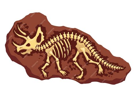 Premium Vector Dinosaur Fossil Skeleton Bones Excavations Of