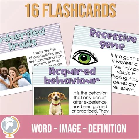 Genetics Vocabulary Games Profesocial