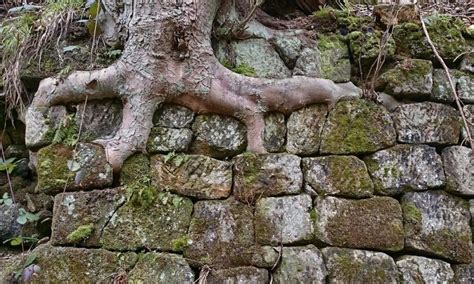 Using Files And Devices In Podman Rootless Containers Rdevopsish