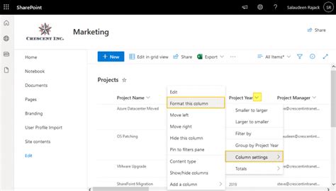 sharepoint online number column without comma sharepoint diary