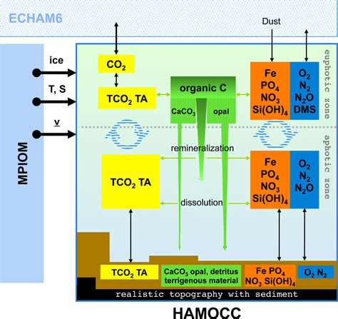 Global Ocean Biogeochemistry Model Hamocc Model Architecture And Performance As Component Of