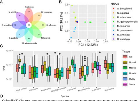 Figure 2 From Transcriptional Landscape Of Small Non Coding Rnas Reveals Diversity Of Categories
