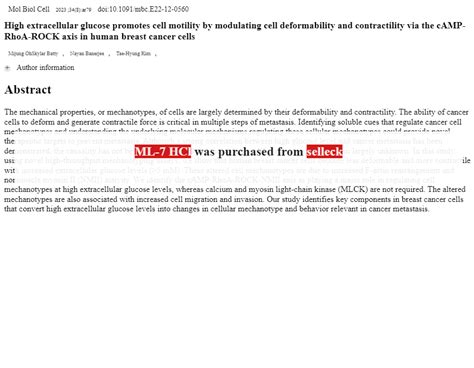 Protein Kinase C Pkc Pathway