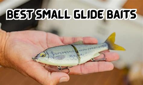 5 Best Small Glide Baits For 2026 Barb Catch Fishing