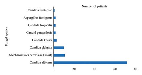 Bar Chart Showing Fungal Species Grown In Sputum And Number Of Patients Download Scientific