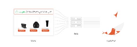 Role Of Magento SSL Setup Services For An E Store