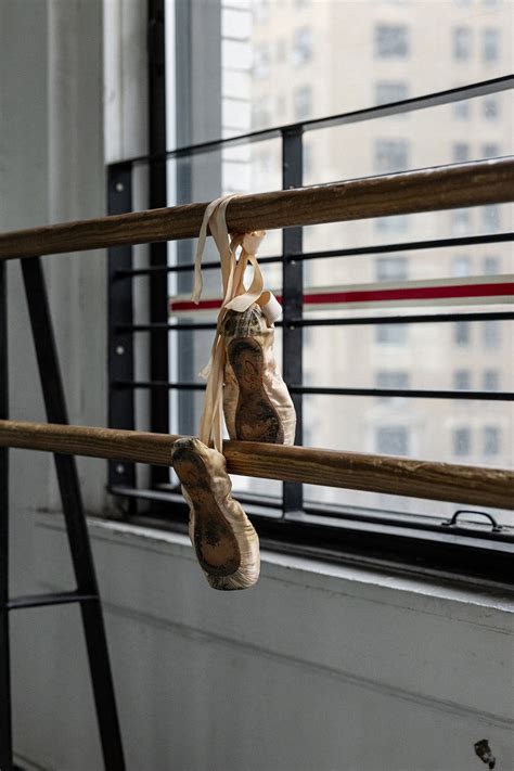 Photographer Laurel Golio For The New York Times X Alice Robb Ah News