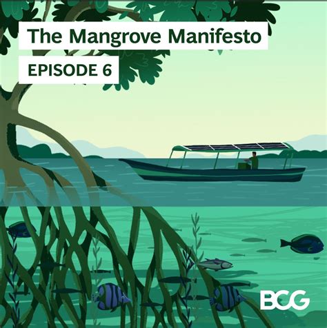 Bcg On Social Impact On Linkedin Climate Vision 2050