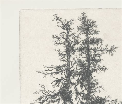 Tree Etching Vintage Print Antique Tree Sketch Printable Etsy