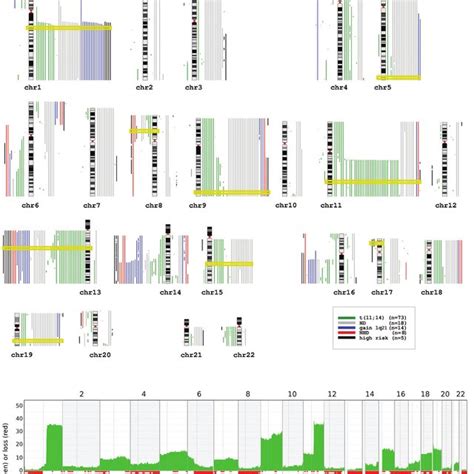 Pdf Novel Recurrent Chromosomal Aberrations Detected In Clonal Plasma