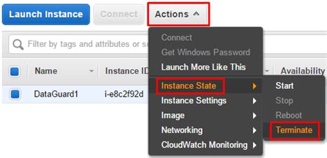 Aws Disabling Termination Protection For Unwanted Instances And