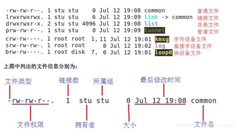 linux 基础命令大全 objdump 显示变量 csdn博客