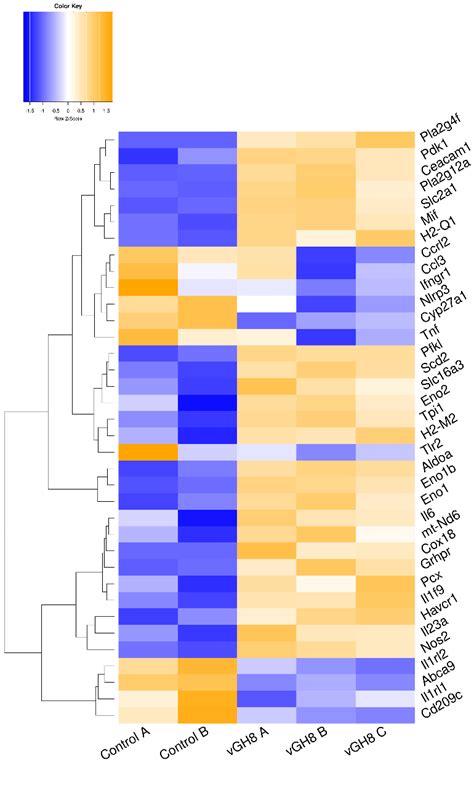 Unsupervised Hierarchical Clustering Based On Expression Of