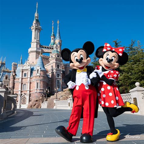 为什么迪士尼乐园这么受欢迎？🌟揭秘背后的原因 迪士尼 淘宝百科网