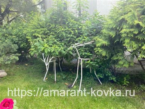 Опора для кустов, цветов, растений купить по цене 7750 ₽ в Москве на ...