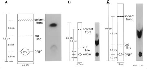 Evaluation Of An Alternative Radiochemical Purity Testing Method For