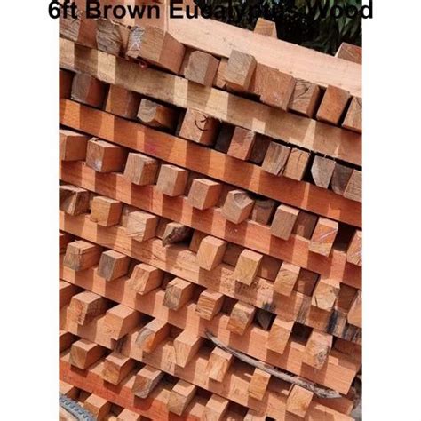 6ft Brown Eucalyptus Wood At ₹ 625cubic Feet Eucalyptus Timber In