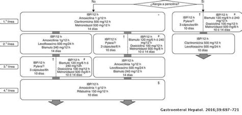 Nuevas Evidencias En El Tratamiento Del Helicobacter Pylori Live Med