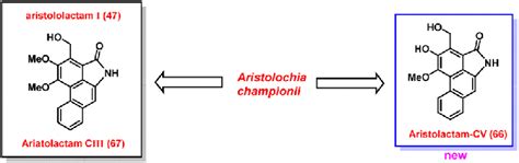 Aristolactam Cv From The Rhizomes Of Aristolochia Championii