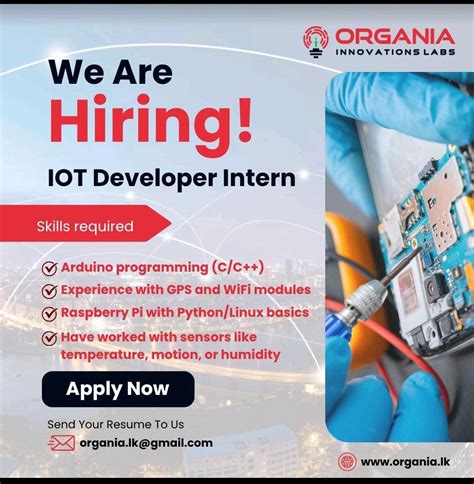 iot developer internship jobseeker lk