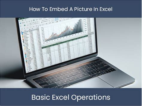 Tutorial De Excel Cómo Incrustar Una Imagen En Excel