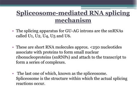 Spliceosome Pptx