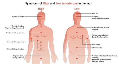 What Causes Low Testosterone Pompa Program Masterclass