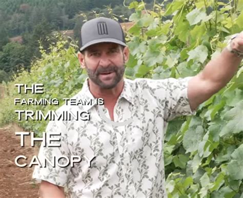 Video Trimming The Vine Canopy Lucidwild Estate