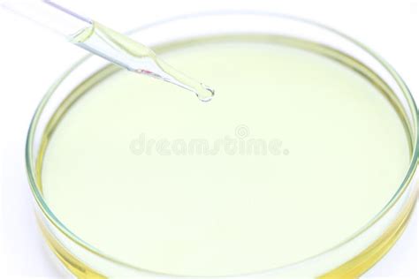 Biodiesel Experiments From Natural Raw Materials In The Laboratory Stock Image Image Of