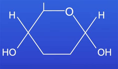 Biological Molecules Flashcards Quizlet