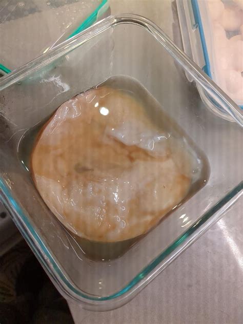 How Old Is Too Old For A Scoby R Kombucha
