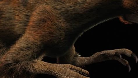 Dromaeosaur Arms By Dracotyrannus On Deviantart