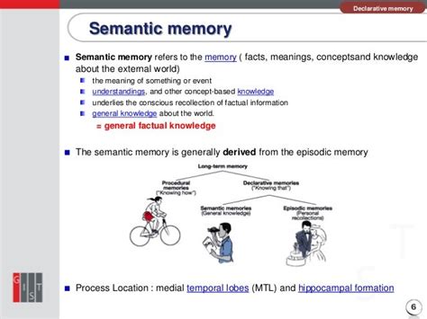 Declarative Memory