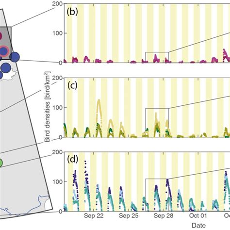 Space Time Variability Of Bird Densities As Measured By A Radar