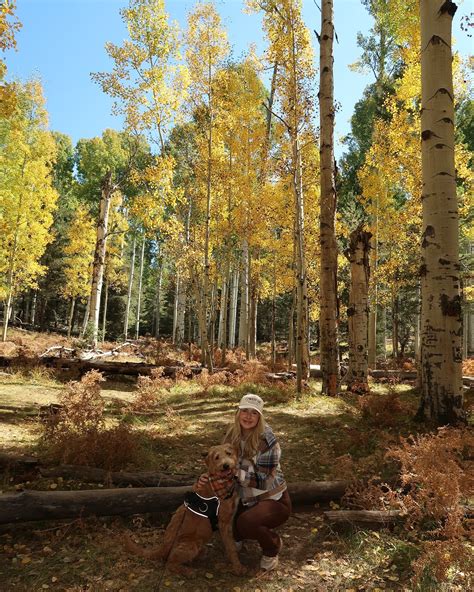 Allie Doty Scott Allienoel • Instagram Photos And Videos