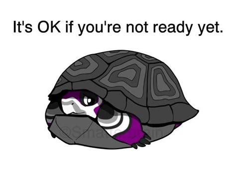 Pride Turtles You Are Valid Asexual Awareness Poster Happy Asexual