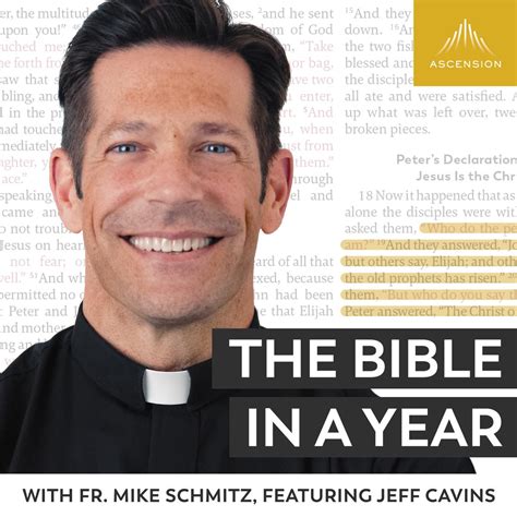 The Bible In A Year Fr Michael Schmitz Youtube Videos