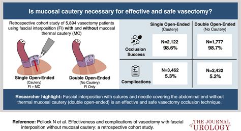 Effectiveness And Complications Of Vasectomy With Fascial Interposition