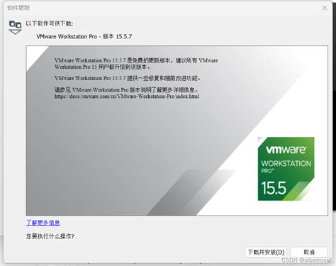 Windows 10 主机上的 Vmware Workstation 中出现 Vmware Workstation 和 Device
